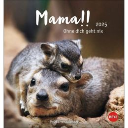 Heye Mama! Postkartenkalender 2025 - Ohne dich geht nix!
