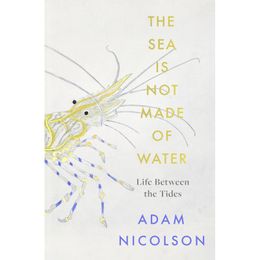 The Sea is Not Made of Water - Adam Nicolson, Kartoniert (TB)