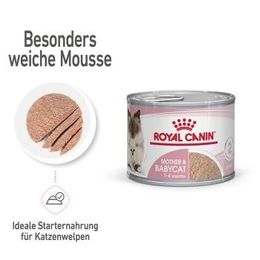 Royal Canin Mother & Babycat Mousse 12x195 g