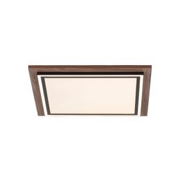 Paul Neuhaus LED-Deckenleuchte 2flg