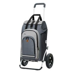 Andersen Einkaufstrolley Andersen Royal Shopper Hydro 2.0 25 cm Luftrad grau