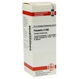DHU-Arzneimittel Pulsatilla D 200 Dilution 20 ml