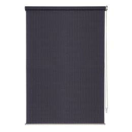 ONDECO Rollo Tageslicht Wand-Deckenmontage Design Cool Sichtschutz Seitenzugrollo Sonnenschutz Größe: 60x160 cm, Farbvariante: Grau