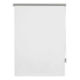 ONDECO Thermo-Rollo Win ohne Bohren Verdunkelung f&uuml;r Fenster und T&uuml;ren lichtundurchl&auml;ssig Gr&ouml;&szlig;e: 180x160 cm ohne Klemmtr&auml;ger, Farbvariante: Wei&szlig;