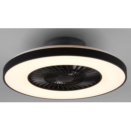 LED Deckenleuchte Trio LEUCHTEN "Halmstad Deckenventilator" Lampen Gr. Ø 59,3 cm Höhe: 20,5 cm, schwarz (schwarz matt) Deckenlampen Deckenlampe, Ventilator, Fernbedienung, Ventilator getrennt schaltbar