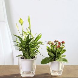 Selbstbewässernder Blumentopf/Topf für Blumen und Pflanzen – klein
