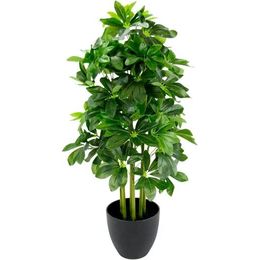 Kunstpflanze Schefflerapflanze, I.GE.A., Höhe 83 cm, im Kunststofftopf