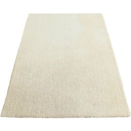 Teppich Andas "Malik" Teppiche Gr. B/L: 160 cm x 230 cm, 20 mm, 1 St., beige (ecru) Esszimmerteppiche