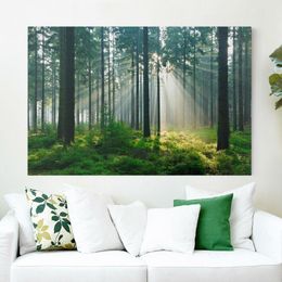 MICASIA Leinwandbild - Enlightened Forest - Quer 2:3 Größe HxB: 40cm x 60cm