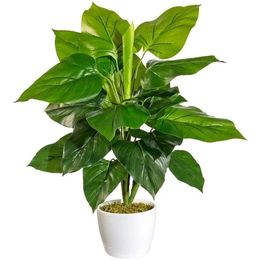 Künstliche Zimmerpflanze Jarla Philodendron, Andas, Höhe 50 cm, im Keramiktopf