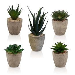 TOREDOO Kunstpflanze Dekorationspflanzen 5er Set, künstliche Zimmerpflanzen - Sukkulente...