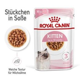 Royal Canin Kitten in Soße 12x85 g