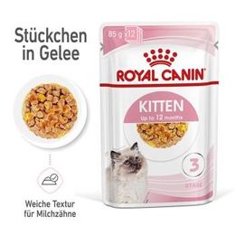 Royal Canin Kitten in Gelee 12x85 g