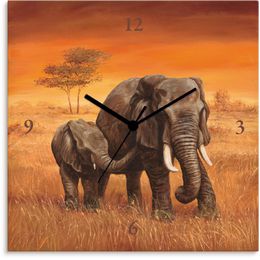 Wanduhr Artland "Elefanten" Wanduhren Gr. B/H/T: 30 cm x 30 cm x 1,7 cm, Funkuhr, braun Wanduhren