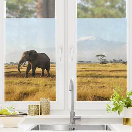 Fensterfolie Elefanten vor dem Kilimanjaro in Kenia