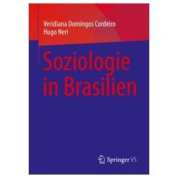 BRINK Soziologie In Brasilien - Veridiana Domingos Cordeiro Hugo Neri Kartoniert (TB)