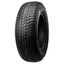 Bridgestone Winterreifen "LM-005" Autoreifen in verschiedenen Ausführungen erhältlich Gr. 255mm / 65 % R 17 114H, schwarz