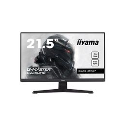 22" iiyama G-MASTER Black Hawk G2250HS-B1 - LED monitor - Full HD (1080p) - 22" - 1 ms - Bildschirm