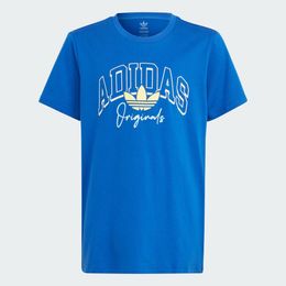 Adidas Collegiate Graphic Pack BF T-Shirt