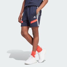 Adidas Colorblock Shorts