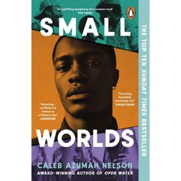 Penguin Small Worlds - Caleb Azumah Nelson, Kartoniert (TB)