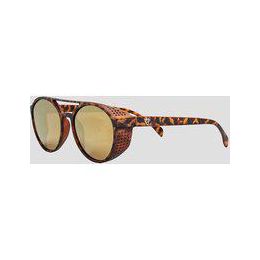 CHPO Rickard Turtle Brown Sonnenbrille gold