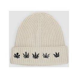 Your Highness Plant Network Fold Beanie natural