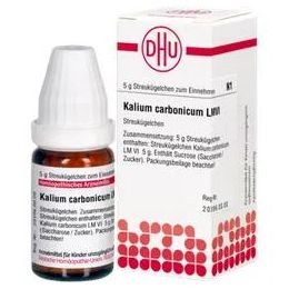 DHU-Arzneimittel Kalium Carbonicum LM VI Globuli 5 g