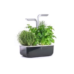 Veritable SMART Indoor Garten schwarz inkl 4 Packs