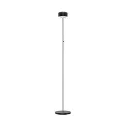 Top Light Puk Maxx Eye Floor LED Linse matt, schwarz/chrom