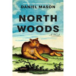 Random House Publishing Group North Woods - Daniel Mason, Kartoniert (TB)