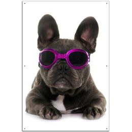 Wallario Sichtschutzzaunmatten Cooler Hund mit Sonnenbrille in pink