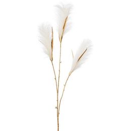 Winterliche Kunstpflanze Mael, Weihnachtsdeko Reetgras, LEONIQUE, Höhe 99 cm, Dekozweige im praktischen 3er Set, goldfarben|weiß
