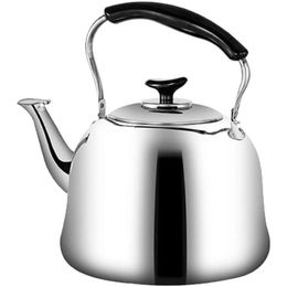 Eosnow - Pfeifender Wasserkocher aus Edelstahl zum Kochen, akustischer Alarm, groe Herdffnung, Teekanne mit Teefilter, 2 l