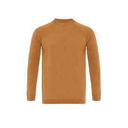 Antioch Pullover Herren Gr&ouml;&szlig;e L camel
