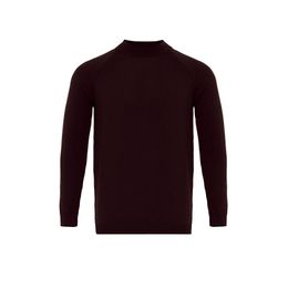 Antioch Pullover Herren Gr&ouml;&szlig;e M braun