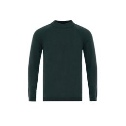 Antioch Pullover Herren Gr&ouml;&szlig;e L gr&uuml;n