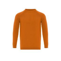 Antioch Pullover Herren Gr&ouml;&szlig;e S orange