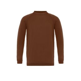 Antioch Pullover Herren Gr&ouml;&szlig;e S braun
