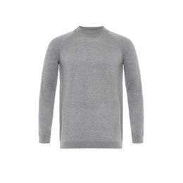 Antioch Pullover Herren Gr&ouml;&szlig;e L grau