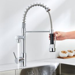 Auralum Wasserhahn Küche mit Spiralfeder, Küchenarmatur 360° drehbare Spültischarmaturen Einhebel Mischbatterie mit Zwei Auslauf Mischbatterien für die Küche