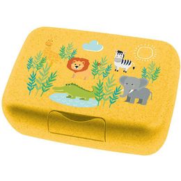 Koziol - Lunchbox/Brotdose Afrika