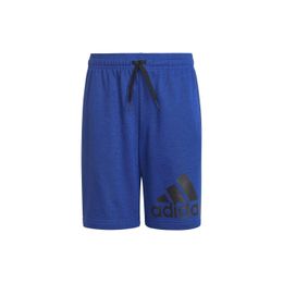 adidas Sportswear Shorts BL Freizeit Shorts Kinder blau