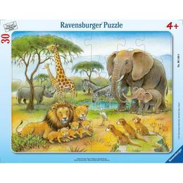 RAVENSBURGER VERLAG Ravensburger Kinderpuzzle - 06146 Afrikas Tierwelt - Rahmenpuzzle für Kinder ab 4 Jahren, mit 30 Teilen