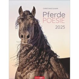 WEINGARTEN Pferdepoesie Kalender 2025