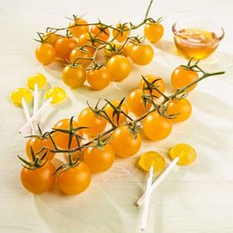 Gärtner Pötschke Tomatenpflanze Cherrytomate Solena Sweet Yellow, veredelt