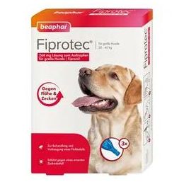 Fiprotec 268 mg Lösung zum Auftropfen für große Hunde