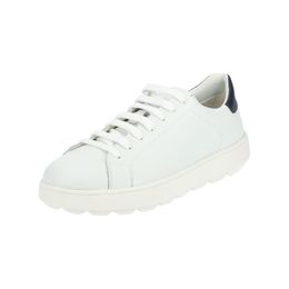 Geox Sneaker Damen Größe 41 schwarz / weiß