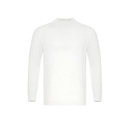 Antioch Pullover Herren Gr&ouml;&szlig;e M wei&szlig;