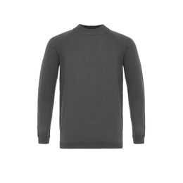 Antioch Pullover Herren Gr&ouml;&szlig;e S grau